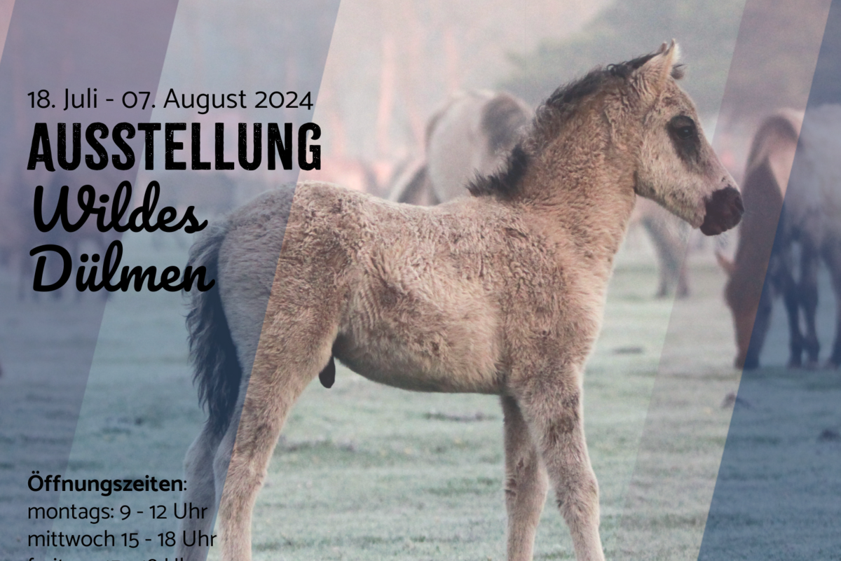 Ausstellung „Wildes Dülmen – Die Dülmener Wildpferde“